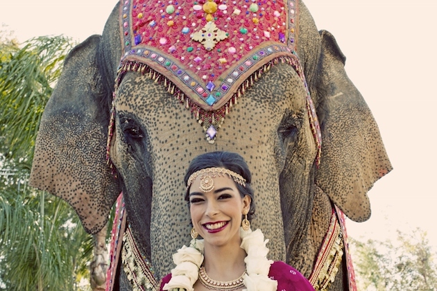 An Elegant Elephant Photoshoot at a Private Estate | Nahid's Global ...